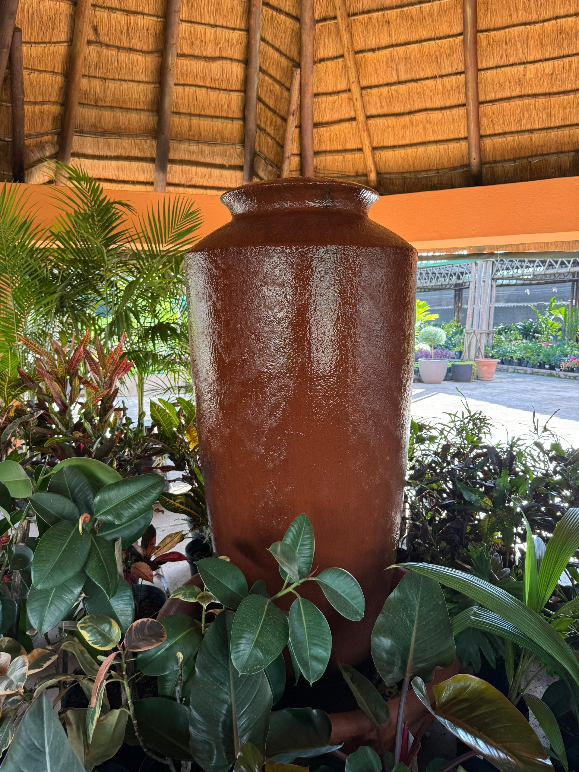 Indoor Plants - Goodies For Gardens