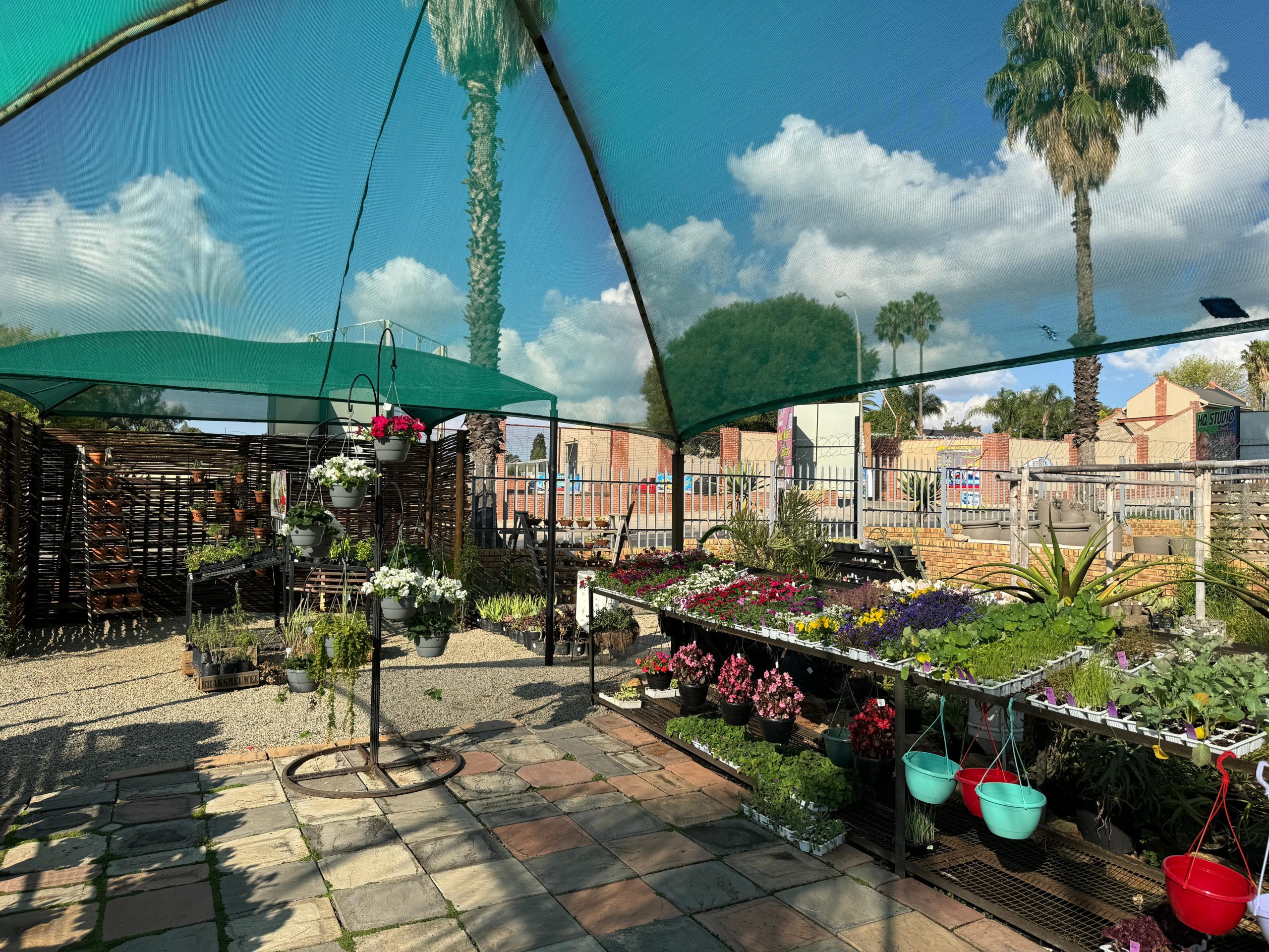 Outdoor Plants - Goodies For Gardens