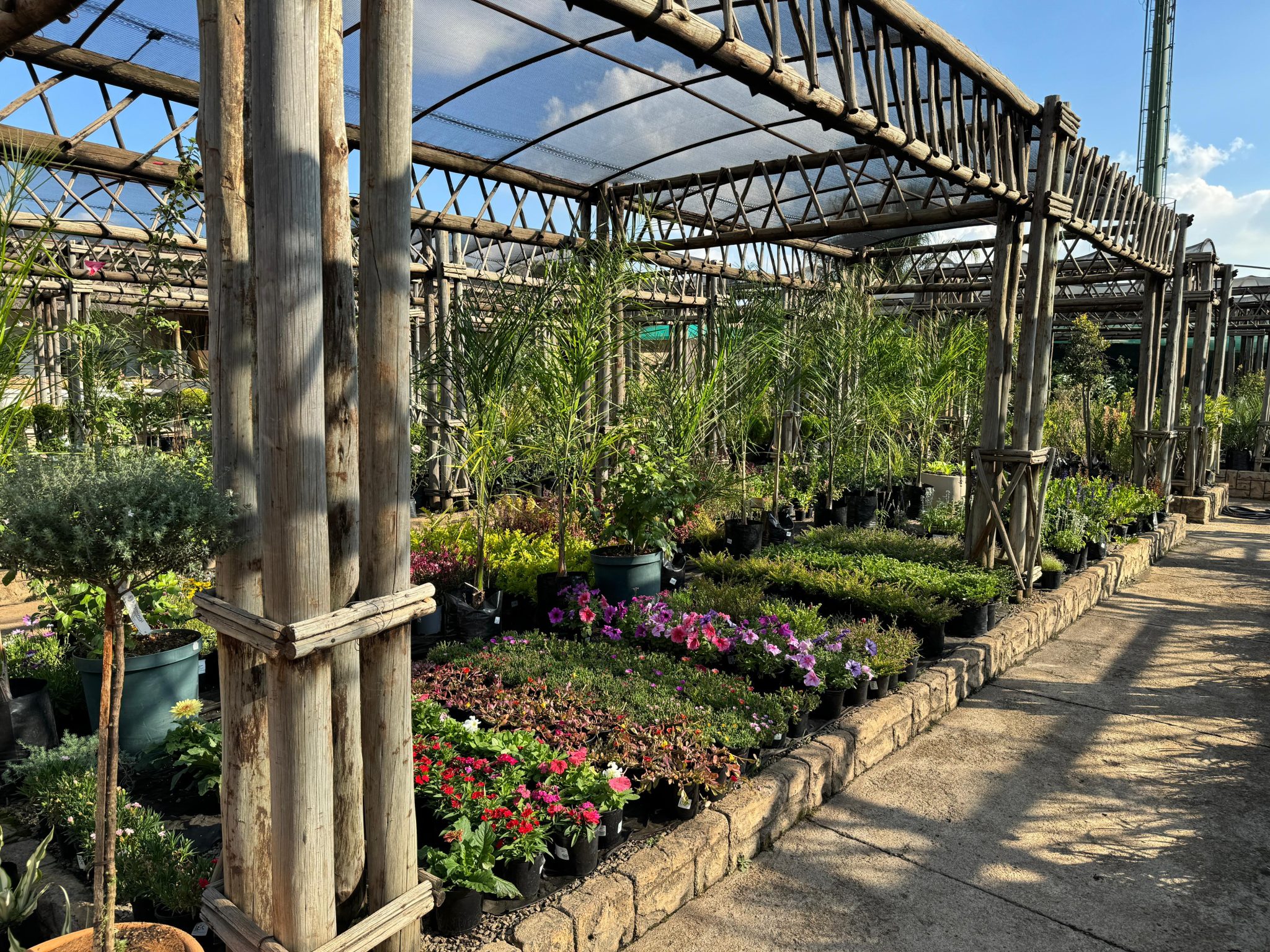 Outdoor Plants - Goodies For Gardens